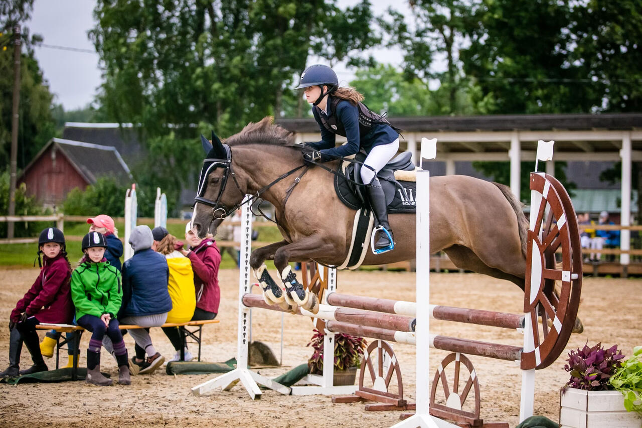 Eesti tõugu hobused – Riimu - 2011